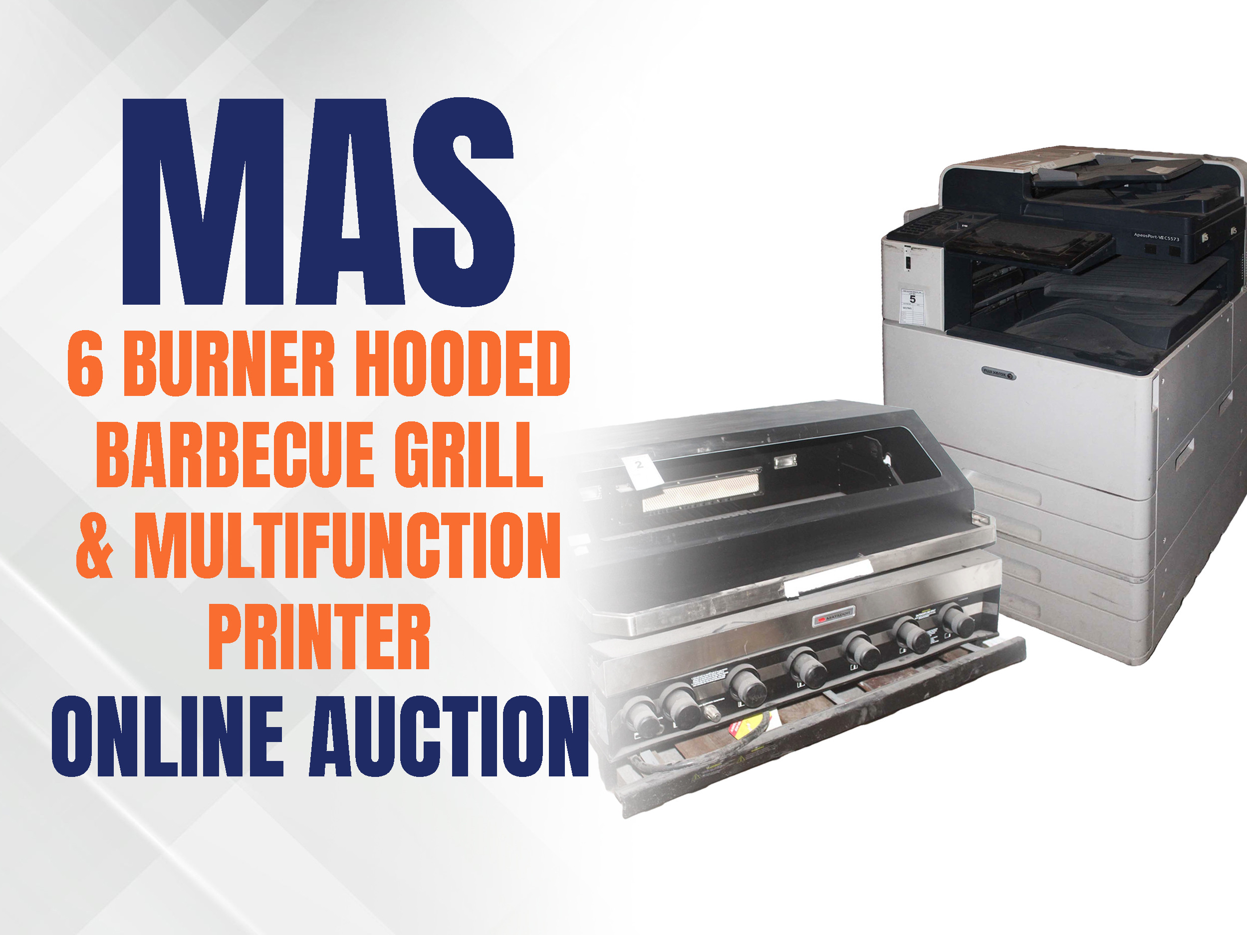 Auction 5017MS — 6 Burner Hooded Barbecue Grill and Multifunction ...