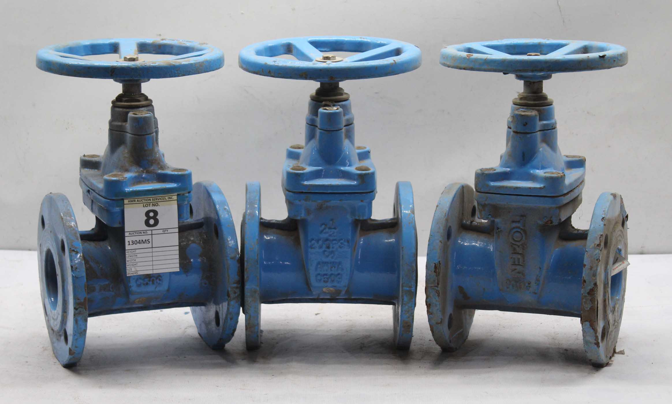 2 1/2'' Flange Type Gate Valve (3 units) — Lot 8 | HMR Shop N' Bid