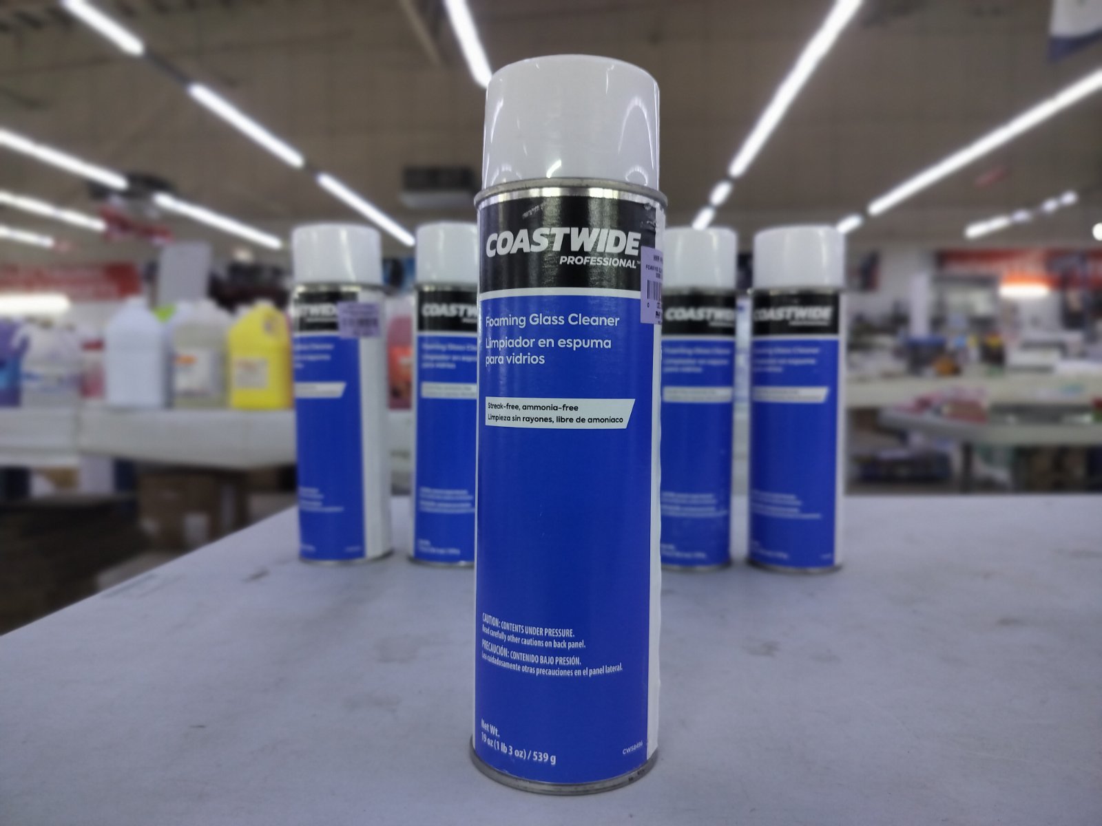 Coastwide Foaming Glass Cleaner | HMR Shop N' Bid