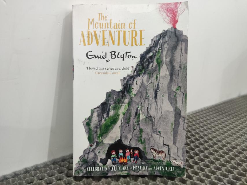 Enid Blyton The Mountain of Adventure | HMR Shop N' Bid