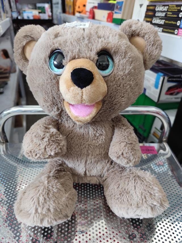 Plai Toy Poe The AI Story Bear 43434336 | HMR Shop N' Bid