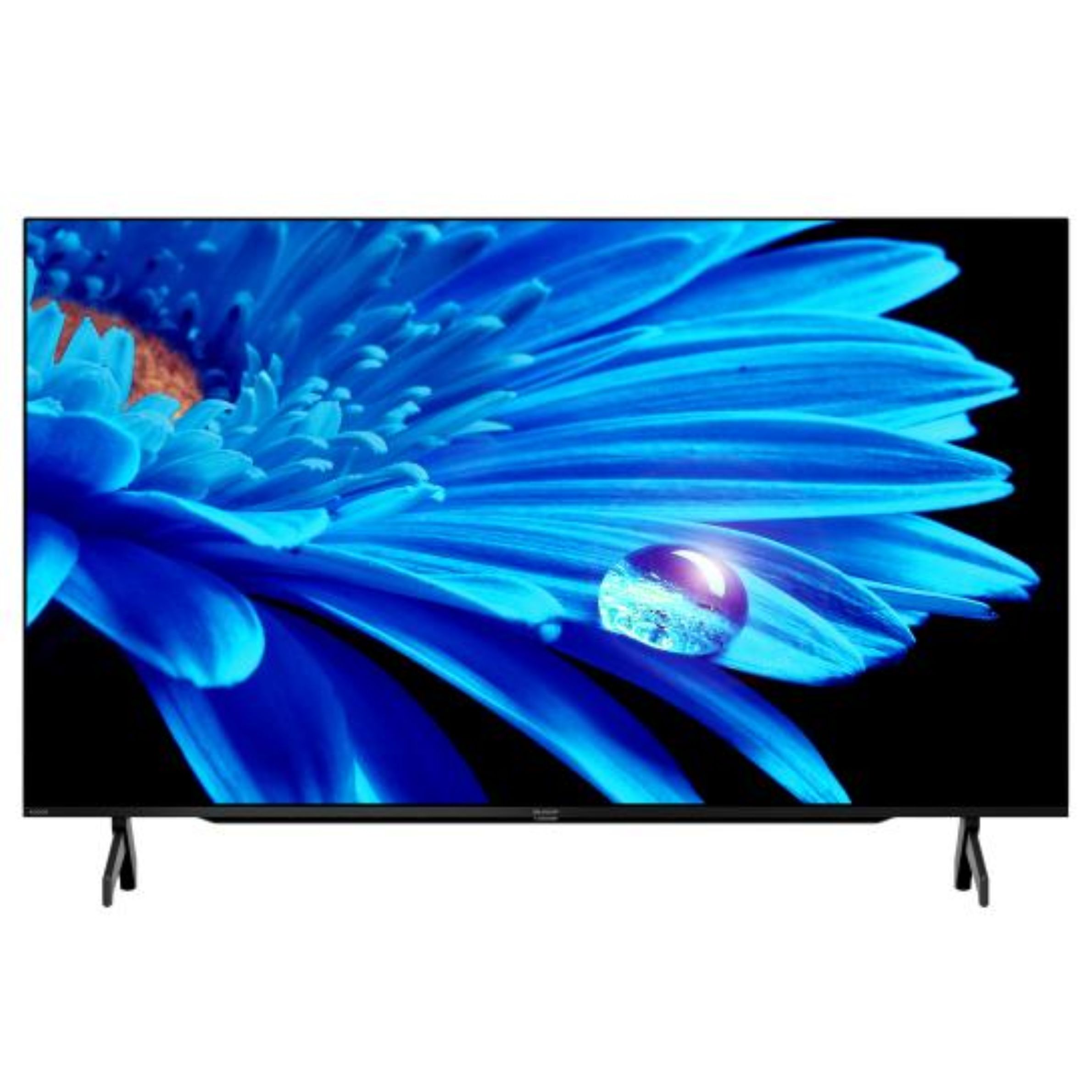 Sharp 4k UHD Google TV 55" 4T-C55FK1X | HMR Shop N' Bid