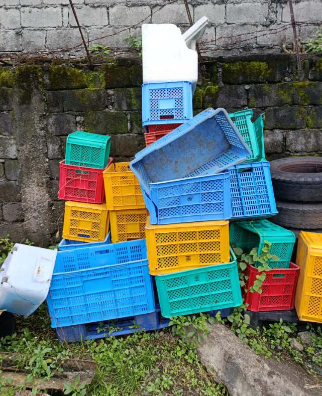 Crates, Plastic Container, Pallet Mop Squeezer, Storage Box, Van Wheels ...