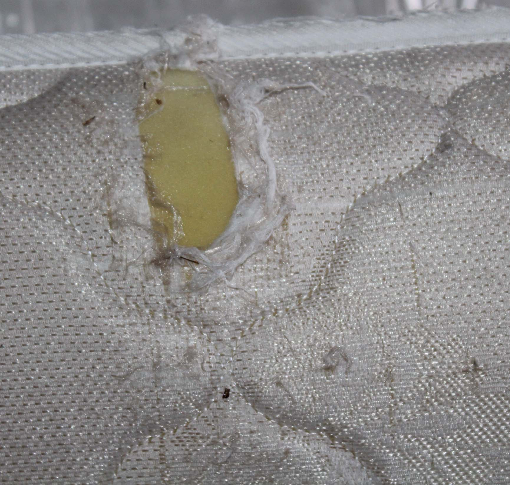 Bed Mattress — Lot 9 | HMR Shop N' Bid